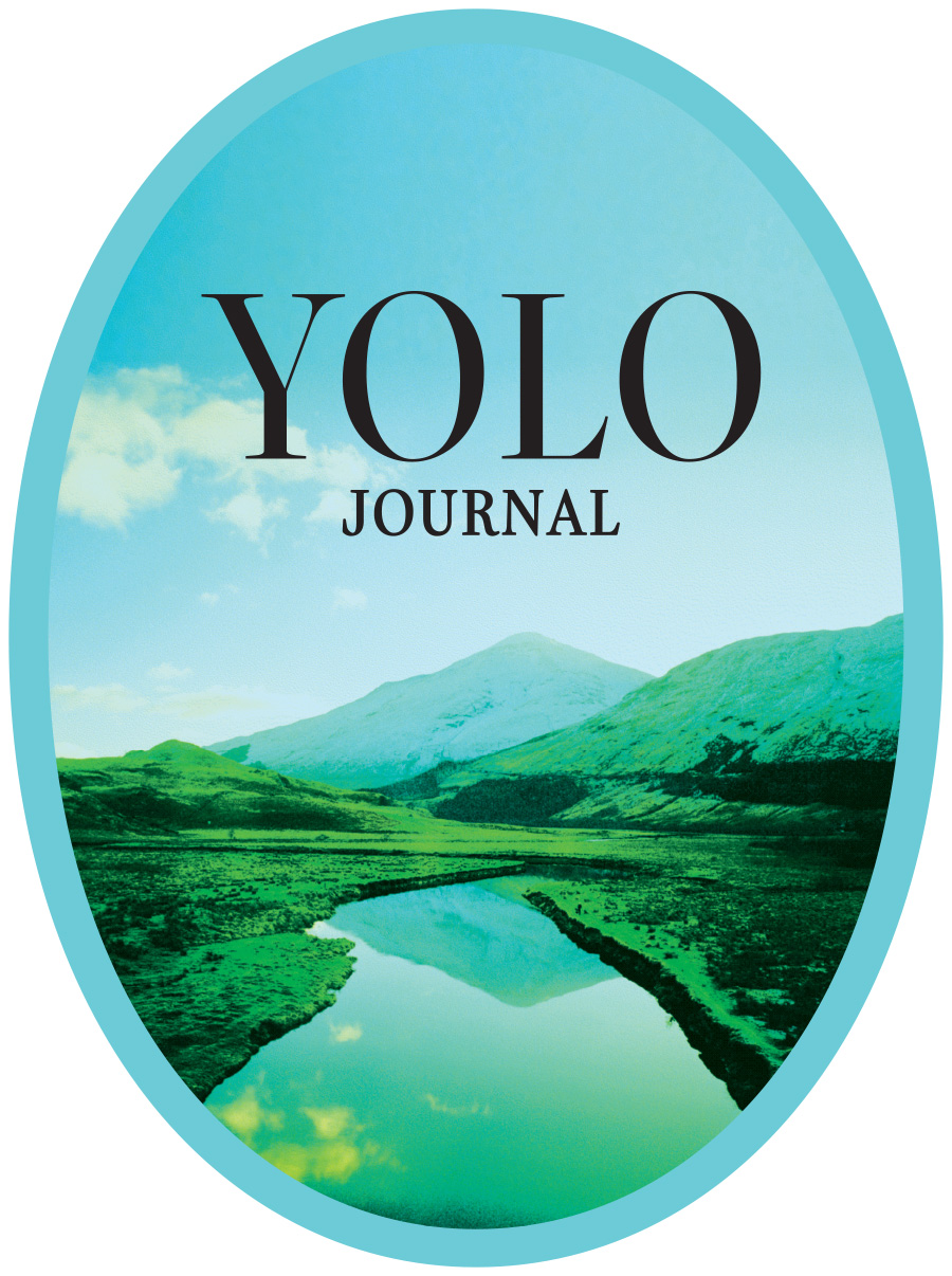 Yolo Sticker Cover 14 - Yolo Journal